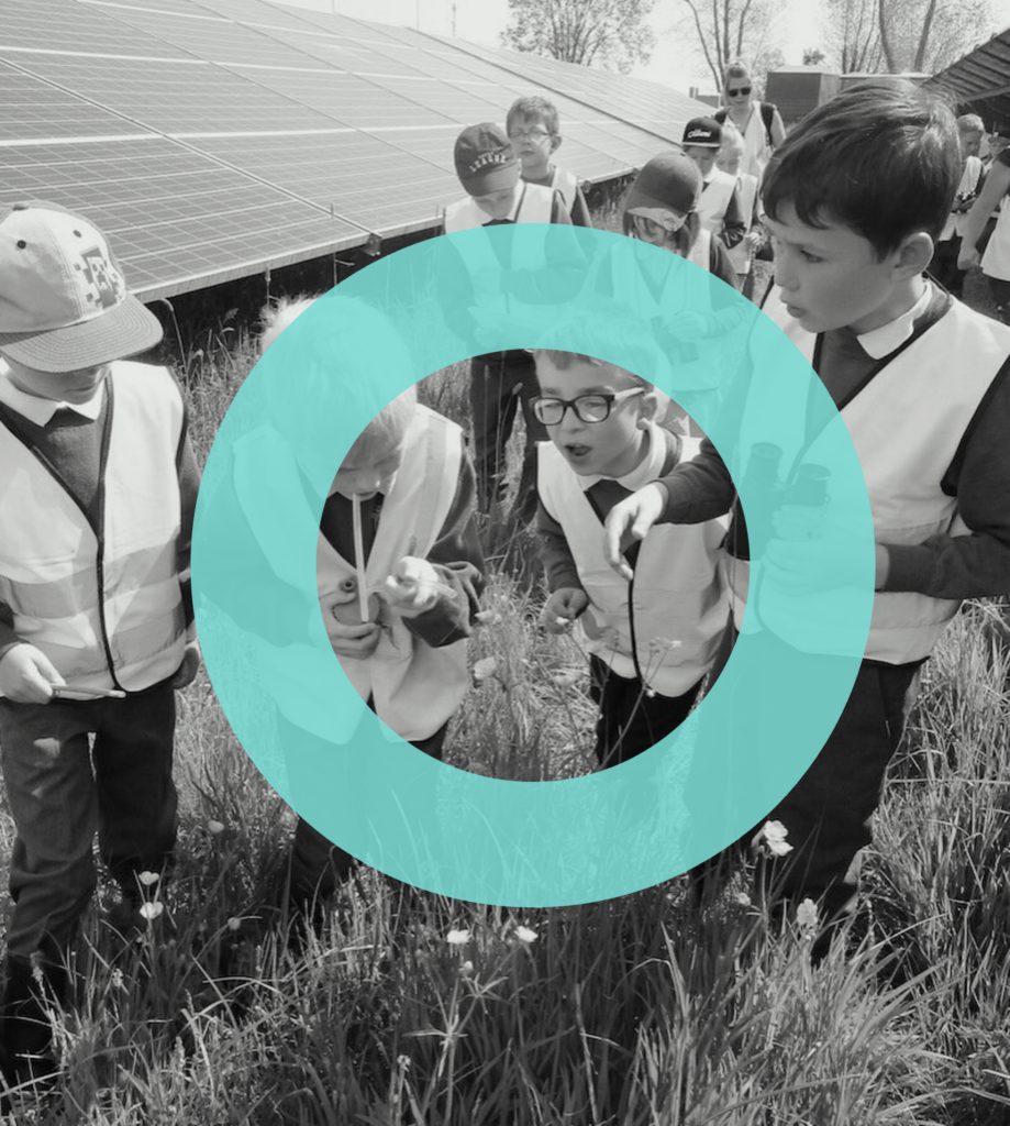 Net Zero Accelerator – LocatED